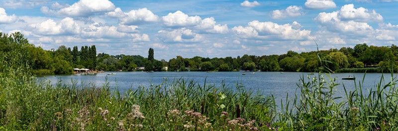 Derogatie 2023 - Nieuws - Meulepas