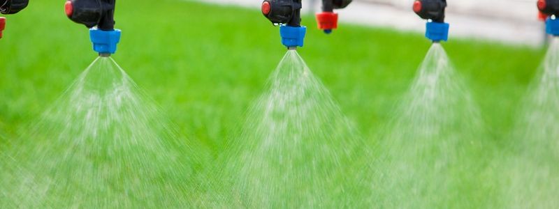 Nieuwe eco-activiteiten in 2024 - Nieuws - Meulepas