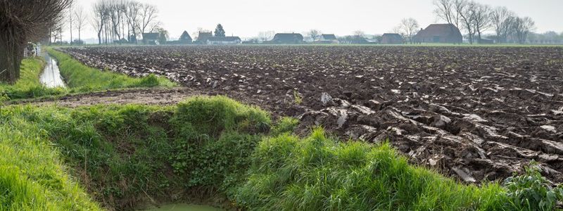 Vrijstelling braakregeling in 2024? - Nieuws - Meulepas